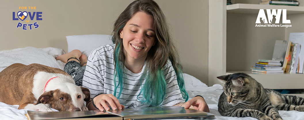 Home | AWL | Animal Welfare League