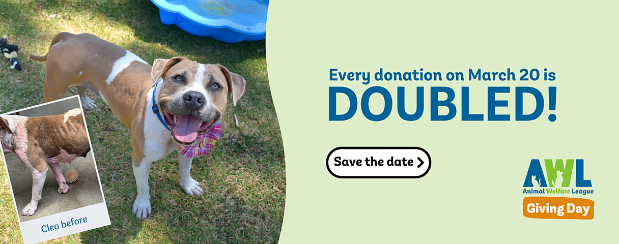 Home | AWL | Animal Welfare League