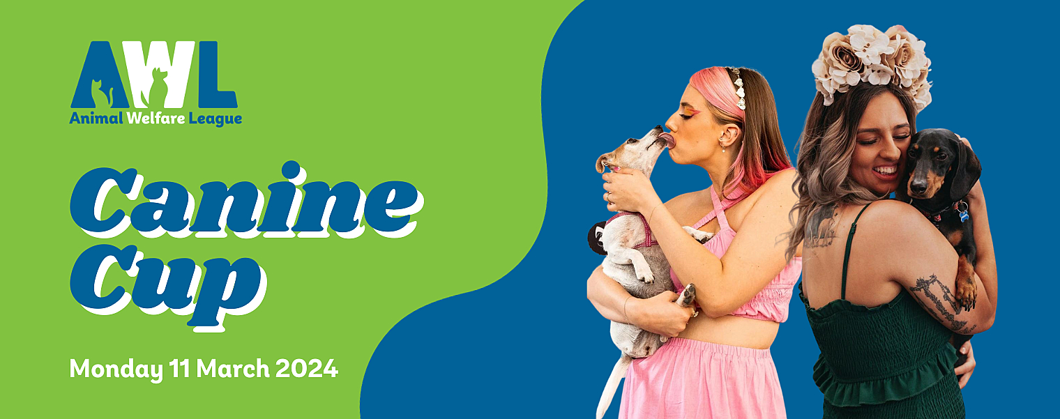 Home | AWL | Animal Welfare League
