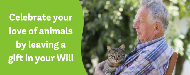 Home | AWL | Animal Welfare League