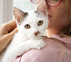 Help us help pets! | AWL | Animal Welfare League