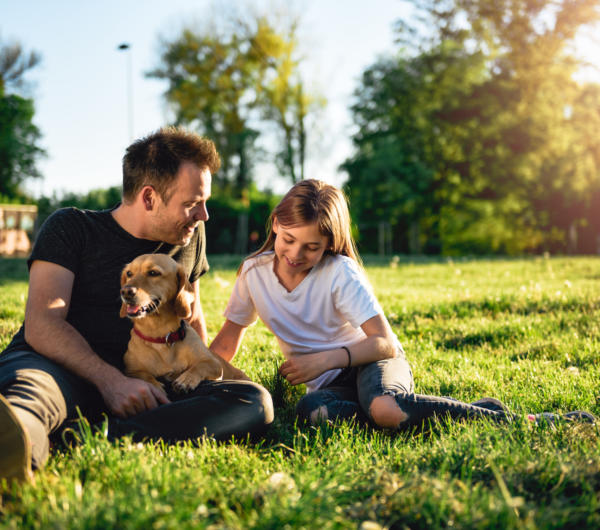 Support AWL | AWL | Animal Welfare League