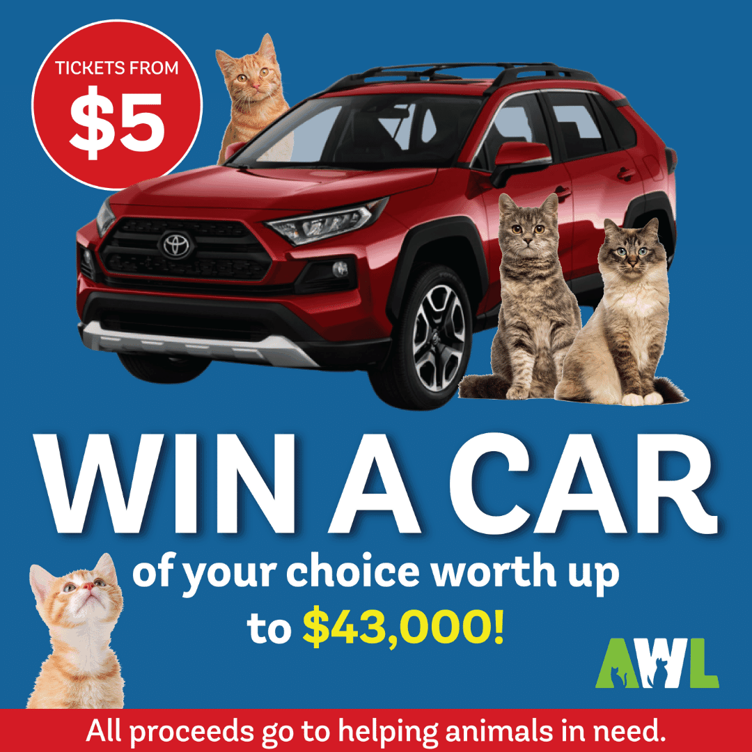 Home | AWL | Animal Welfare League