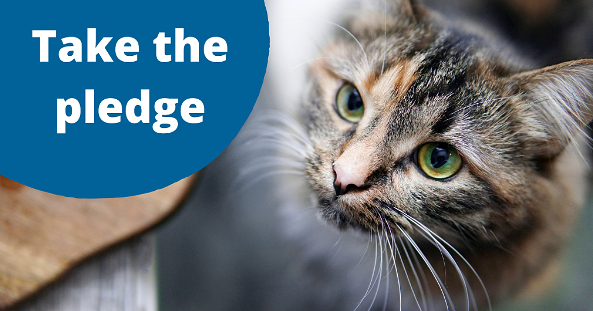 Thank you for taking the pledge | AWL | Animal Welfare League