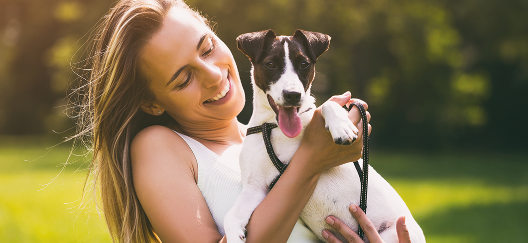 Support AWL | AWL | Animal Welfare League