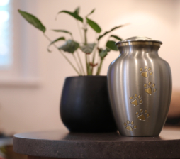 Pet Cremation Adelaide | AWL | Animal Welfare League