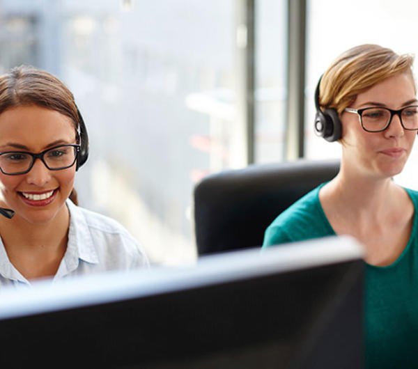 Work with us | AWL | Animal Welfare League