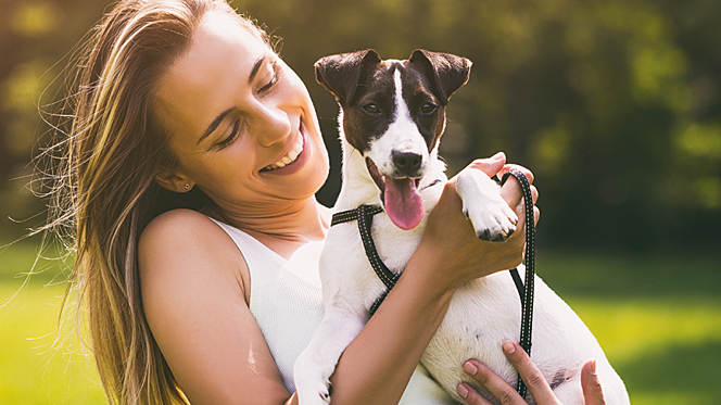 Adopting your new dog | AWL | Animal Welfare League