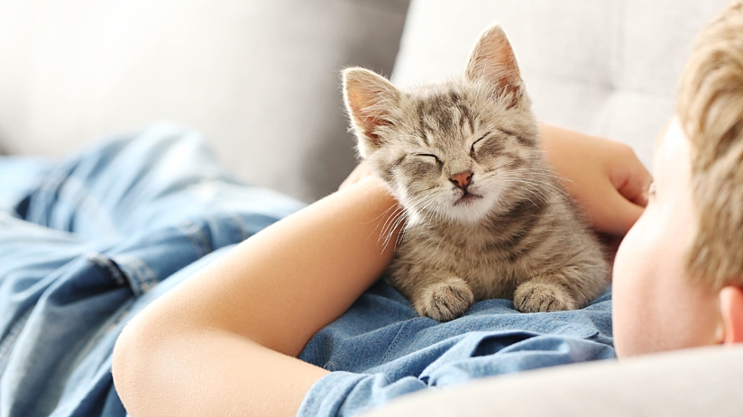 Cats and kids | AWL | Animal Welfare League