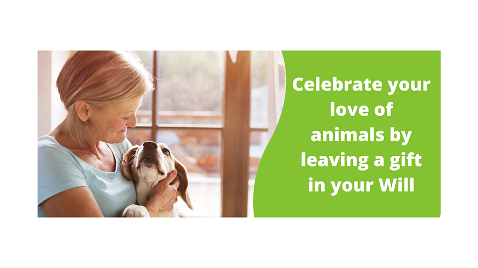Leave a gift in your Will | AWL | Animal Welfare League