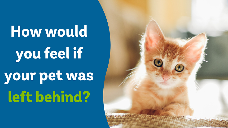 No pet left behind | AWL | Animal Welfare League