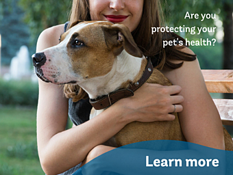 Home | AWL | Animal Welfare League