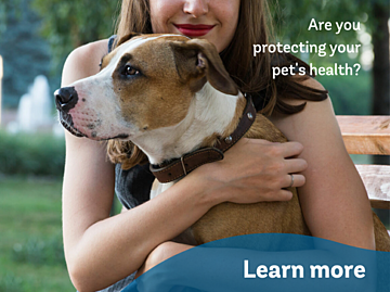 Home | AWL | Animal Welfare League