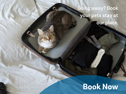 Home | AWL | Animal Welfare League