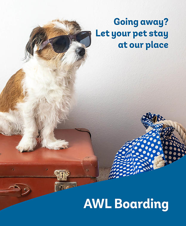 AWL | Animal Welfare League